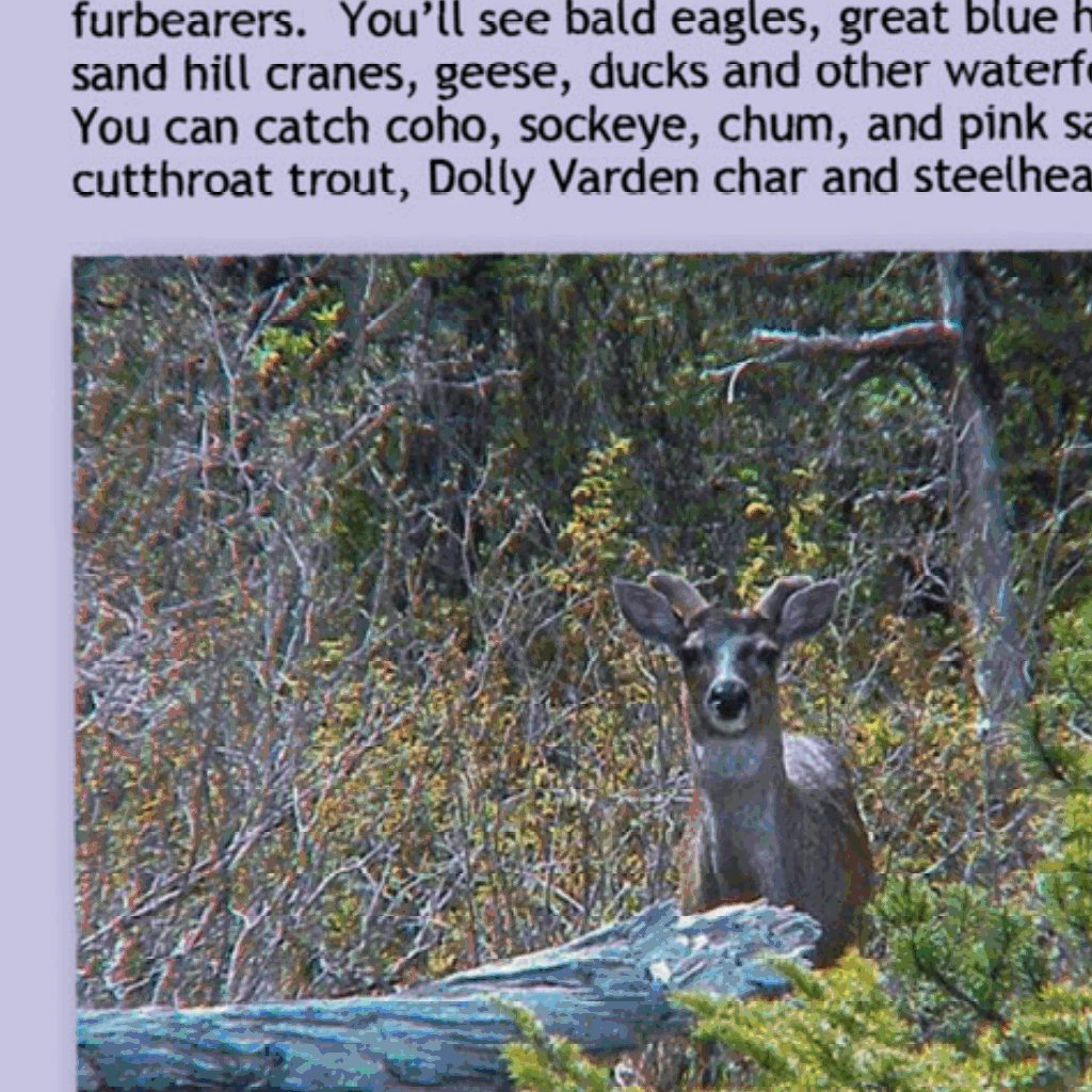 Chichagof Island Hoonah Area (Hoonah Side) Map by US Forest Service R10 ...