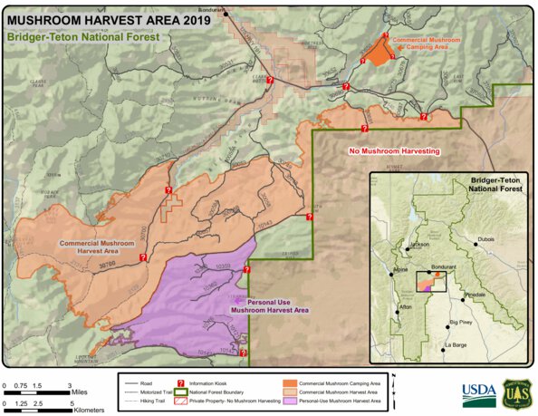 Bridger-Teton National Forest Mushroom Harvest Vicinity Map by US ...