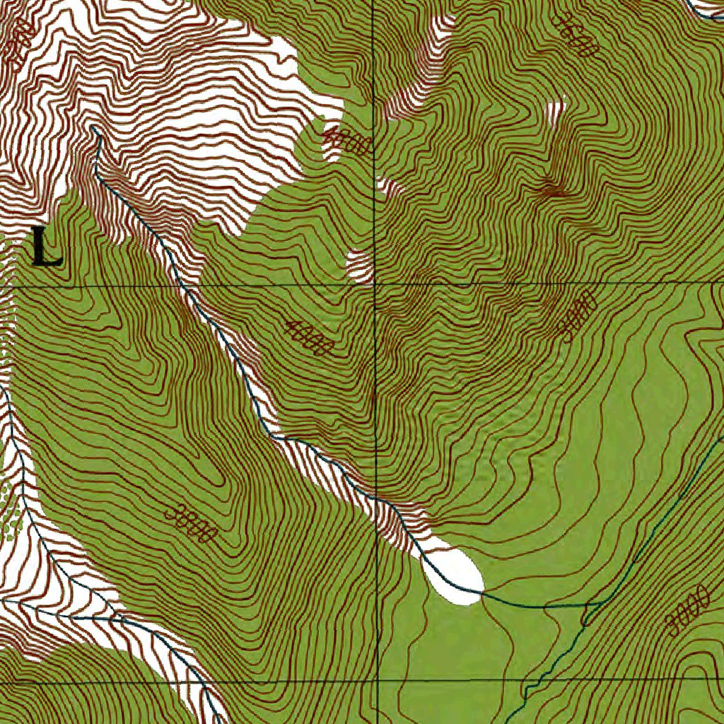 WA-Mount Queets: Authoritative US Topos 1990 Map by Western Michigan ...