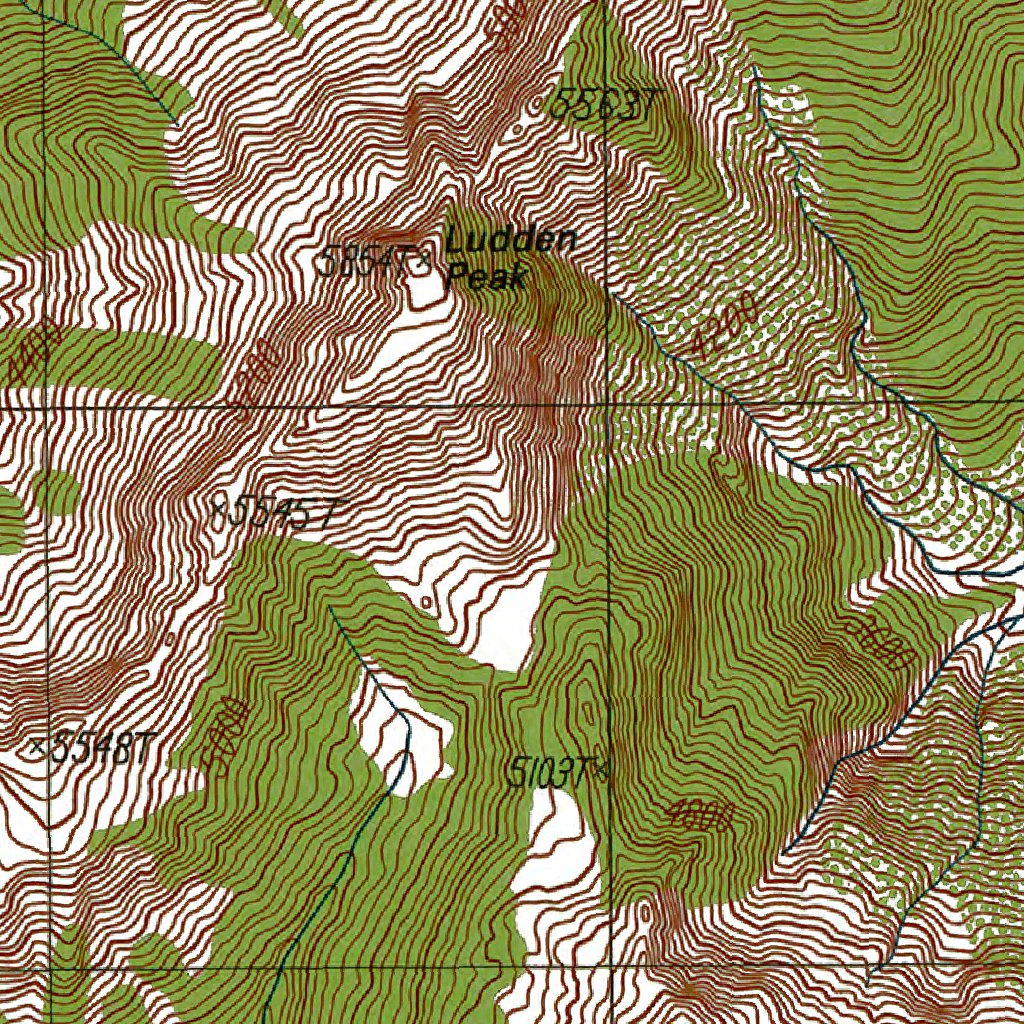 WA-Mount Queets: Authoritative US Topos 1990 Map by Western Michigan ...
